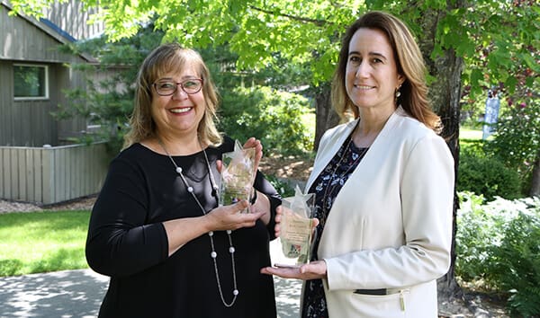 RCC Staff Recognized for Workforce Development - SOREDI