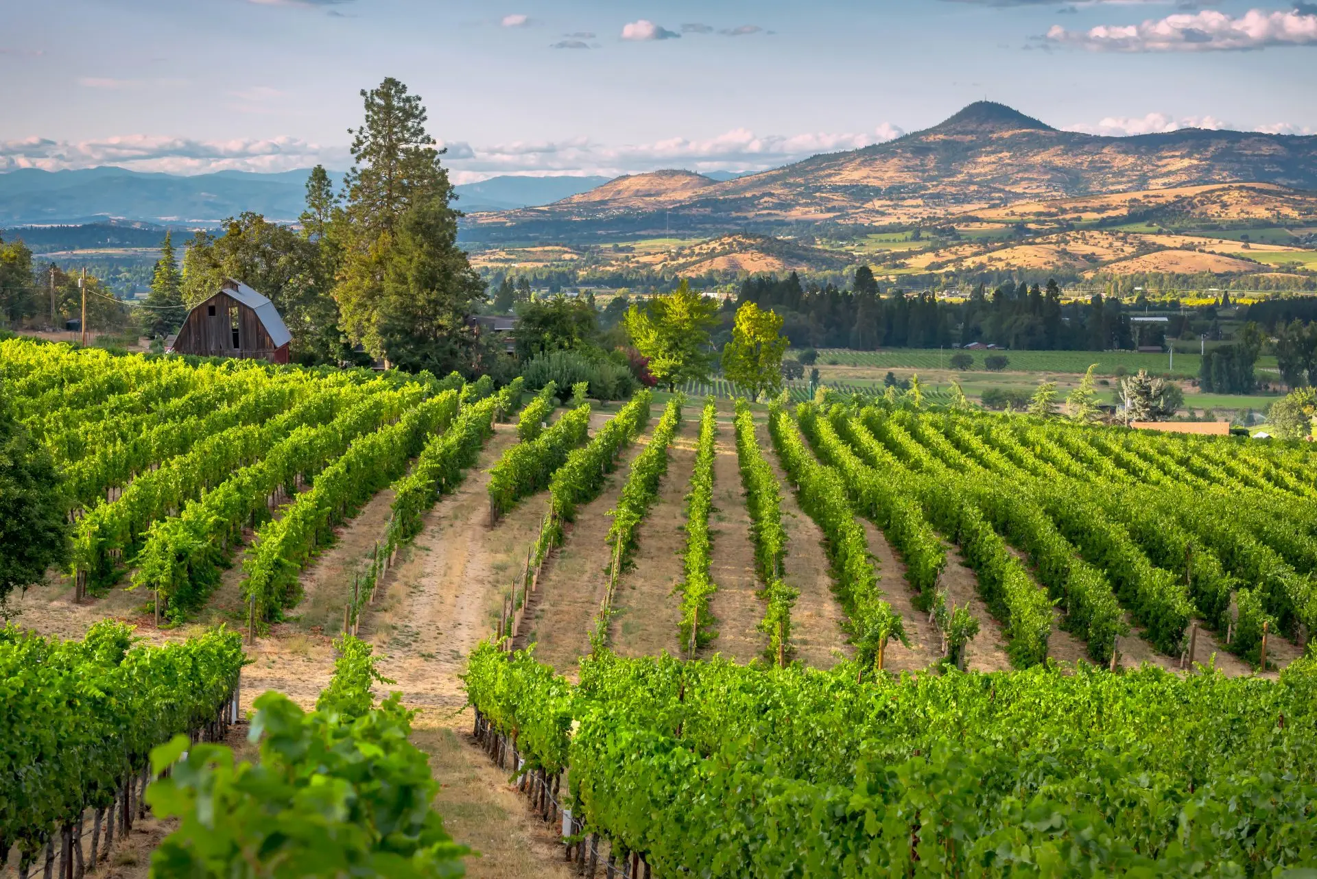 Rogue Valley Named #2 Wine Region in the Nation - SOREDI